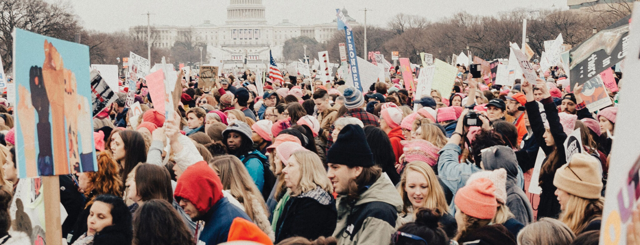 Curricula and Resources - Democratic Knowledge Project